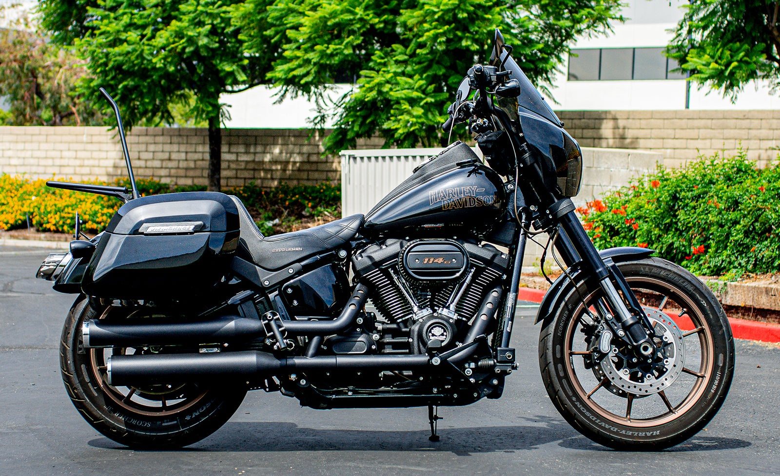 Viking Iron Born Blade 25" Sissy Bar with Foldable Luggage Rack for ...