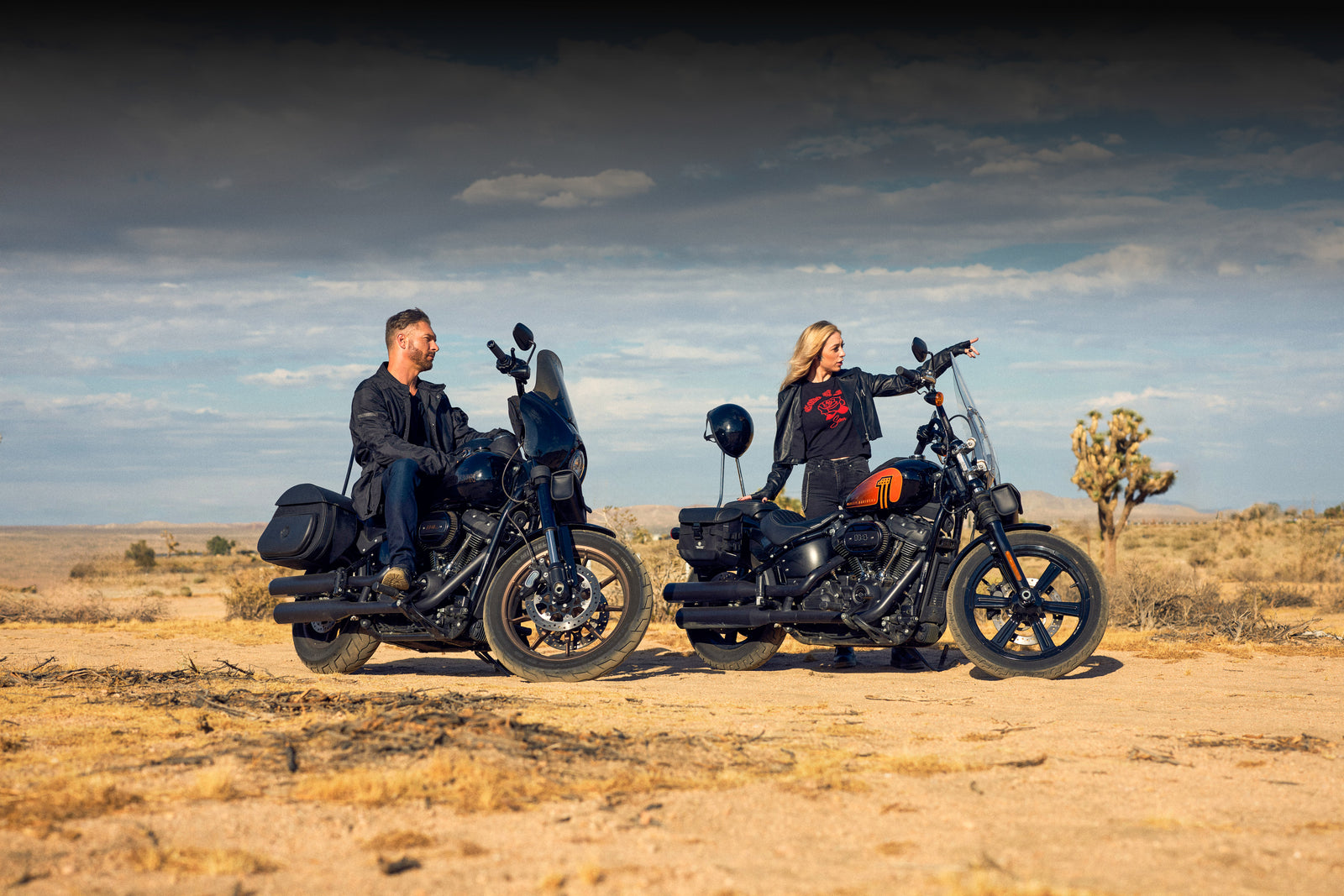 Motorcycle Luggage & Bags Experts - Vikingbags