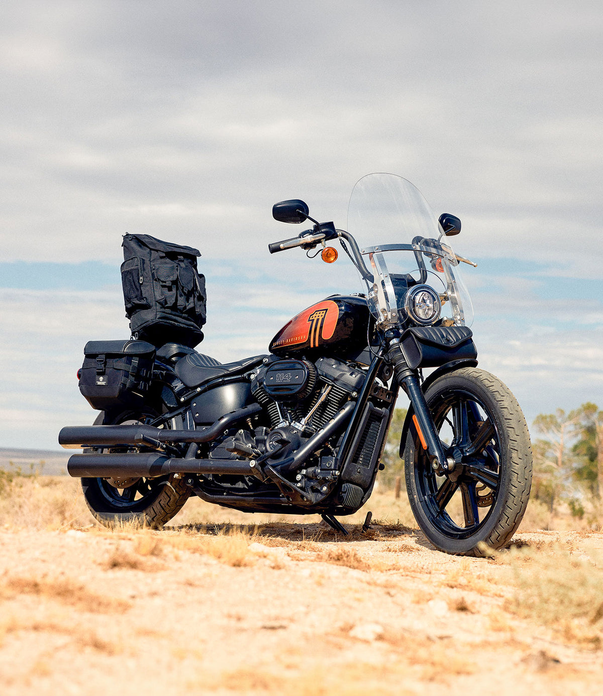 Harley Davidson Softail Street Bob FXBB Saddlebags - Viking Bags
