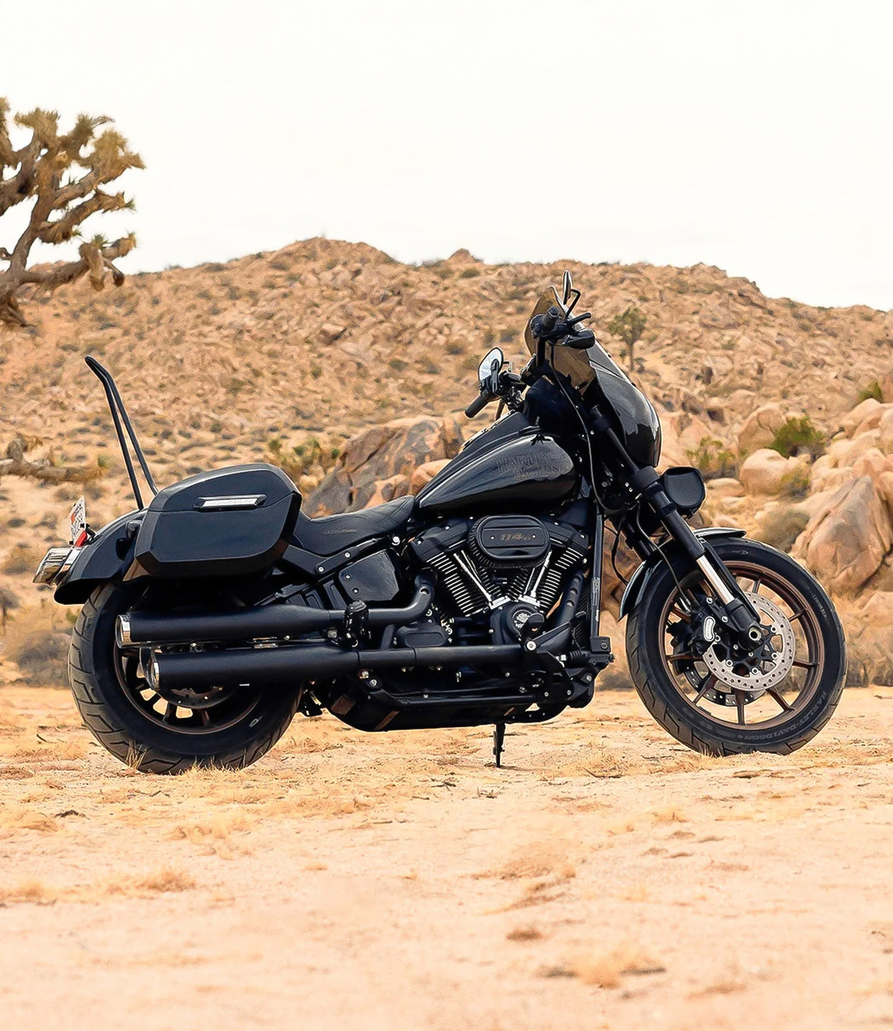 Harley Davidson Softail Low Rider S FXLRS Saddlebags - Viking Bags