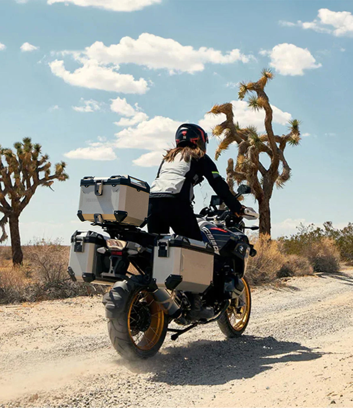 Triumph Tiger 1200 Adventure Touring Hard Side Cases - VikingBags